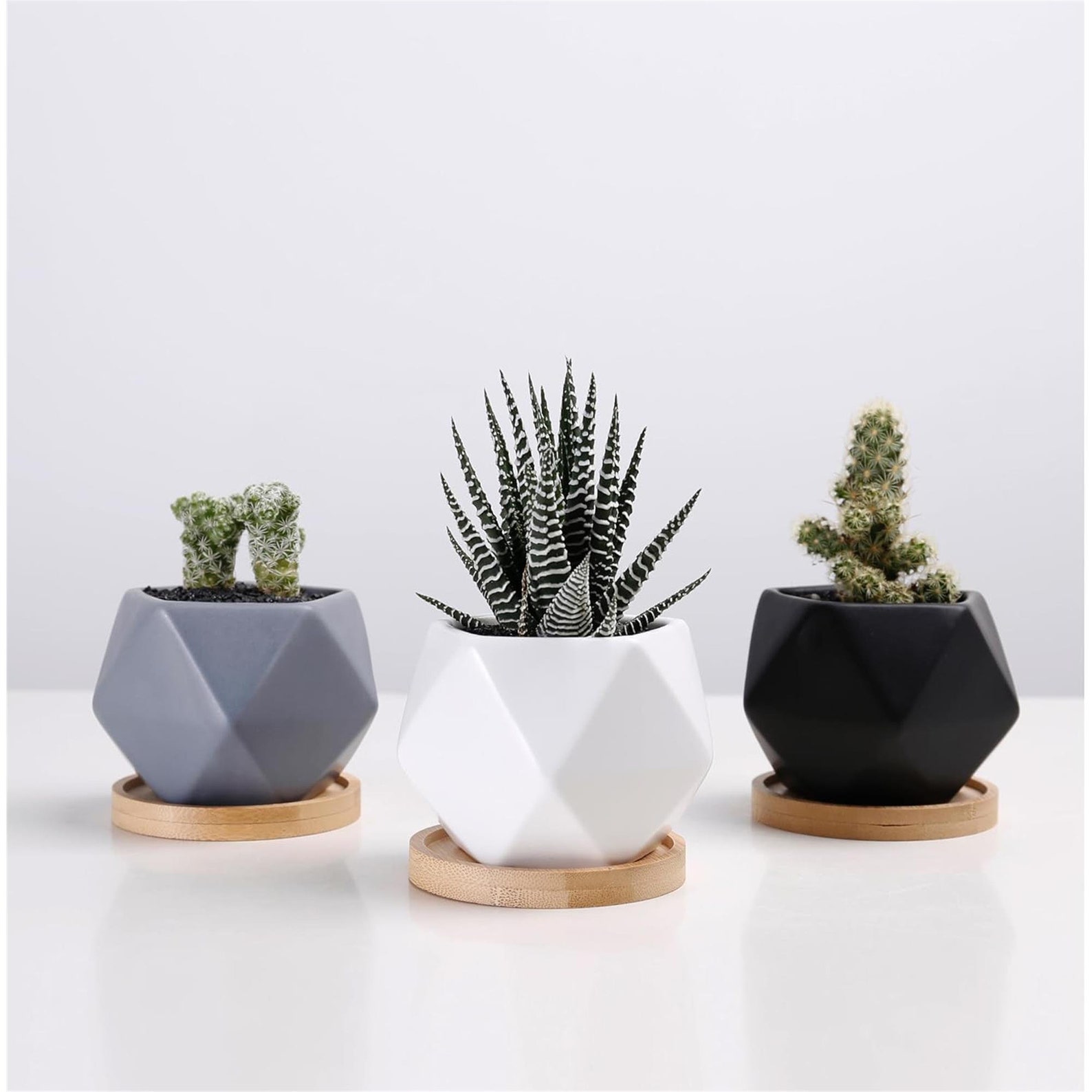 Modern Geometric Ceramic Succulent Pots 3 Planters With Drainage Bamboo