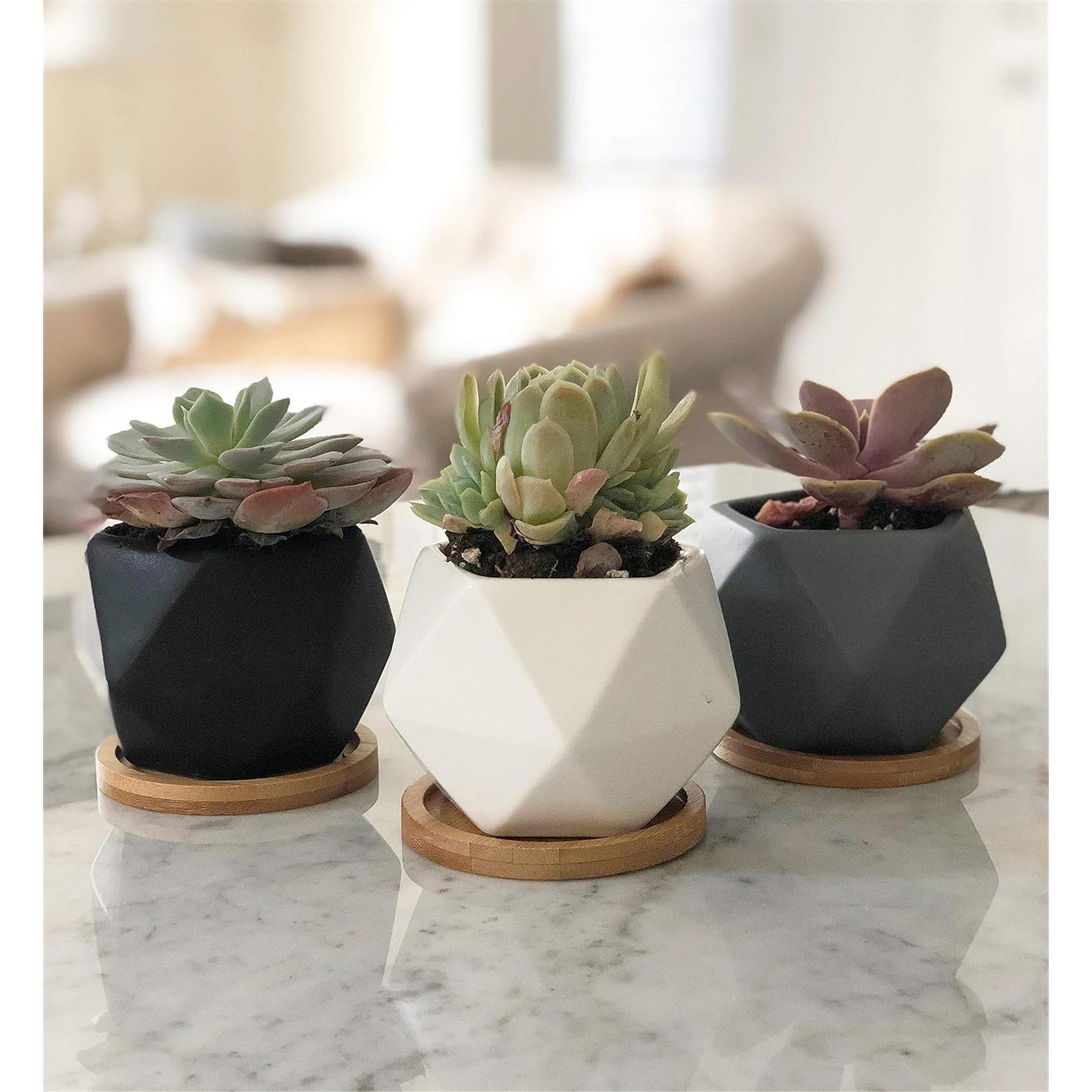 Modern Geometric Ceramic Succulent Pots 3 Planters With Drainage Bamboo