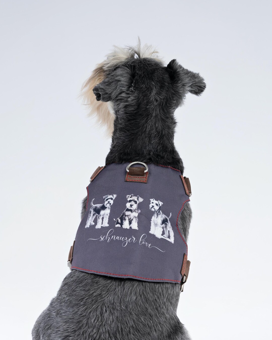 Schnauzer Dog Harness – Handmade Adjustable Leather & Canvas Harness ...