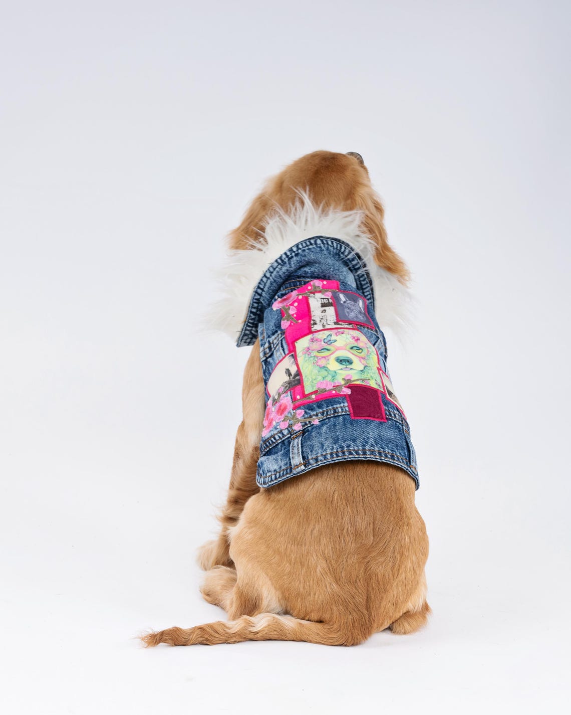 Fashionable Dog Coat Denim Dog Vest for Dogs Stylish Dog Jacket Tiny ...