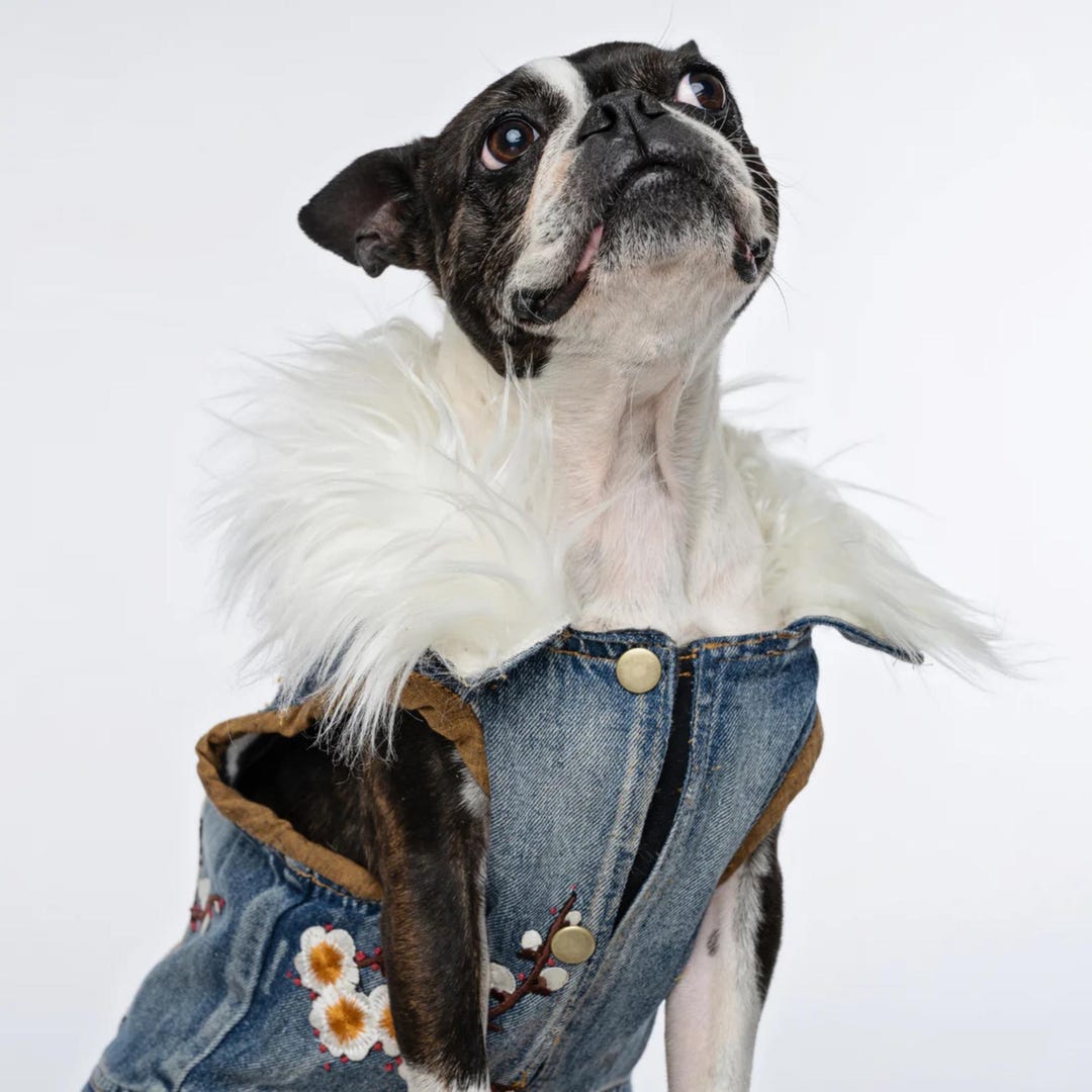 Denim Dog Vest for Dogs Plush Pet Jacket Tiny Dog Clothes Denim Dog ...