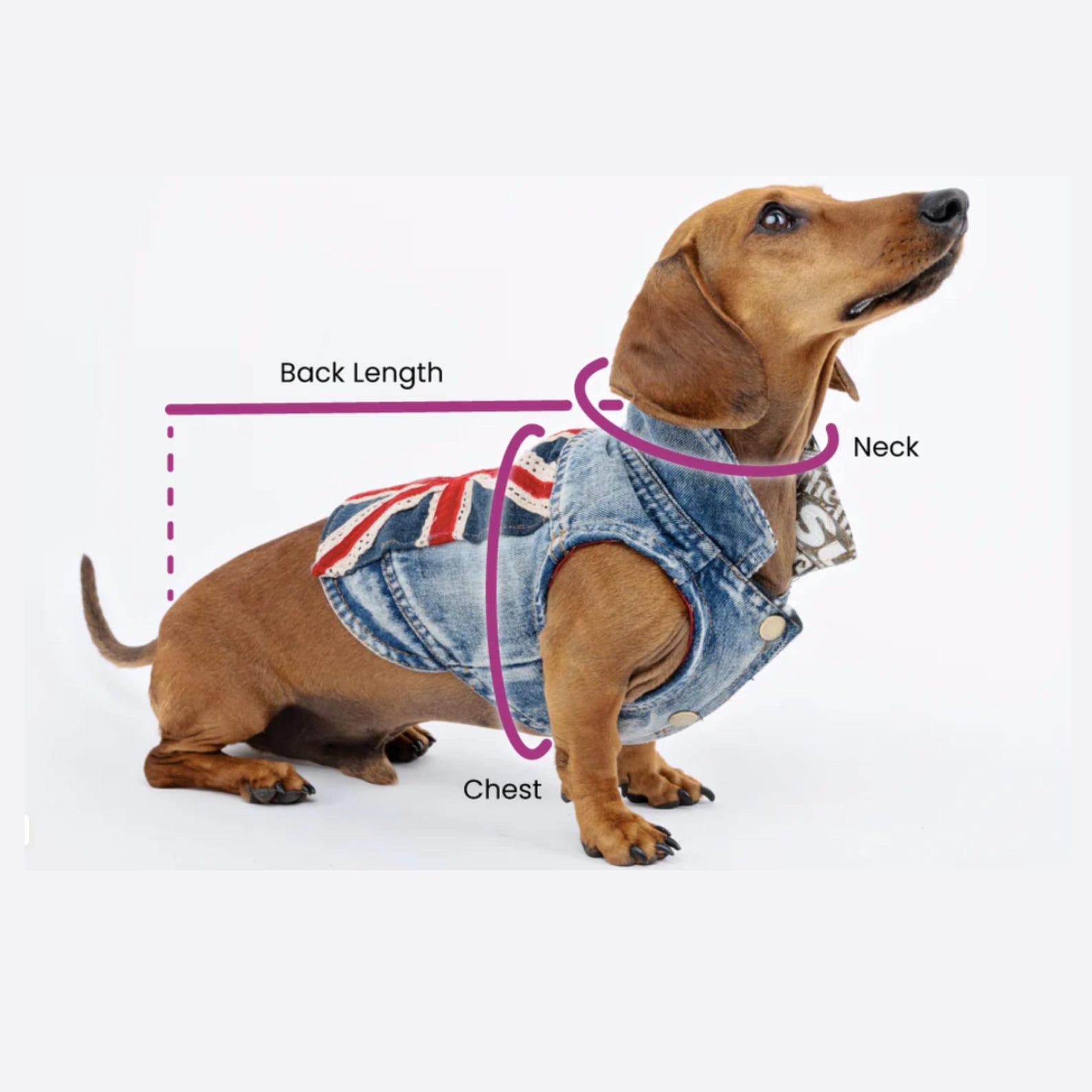 Fashionable Dog Coat Denim Dog Vest for Dogs Stylish Dog Jacket Tiny ...