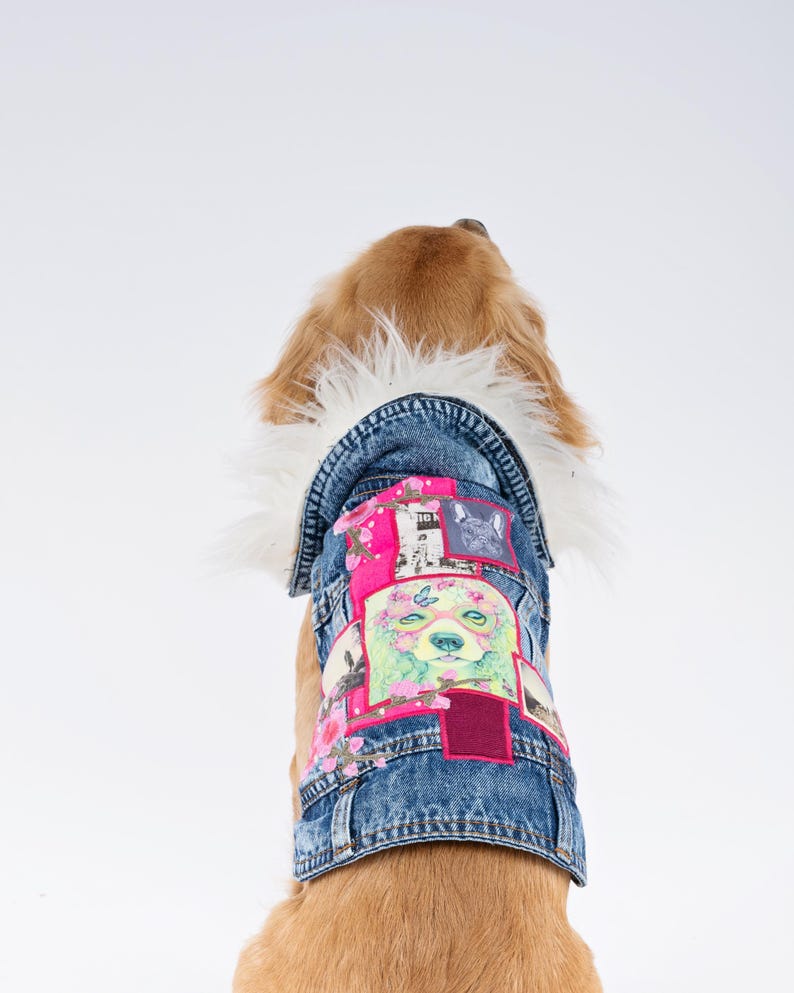 Fashionable Dog Coat Denim Dog Vest for Dogs Stylish Dog Jacket Tiny ...