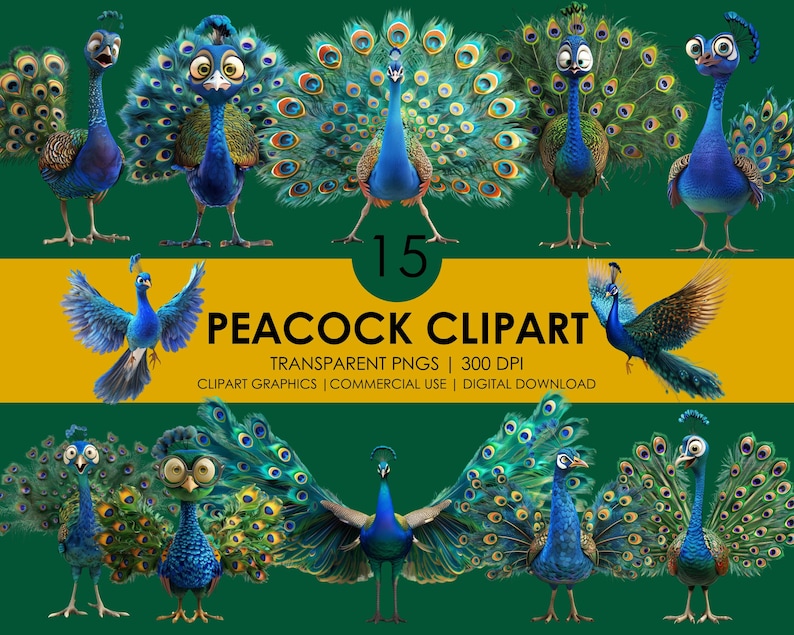 15 Peacock Clipart| Peacock Clipart| Bird Clipart| Funny Peacock PNG ...