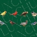 40 Realistic Birds Clipart: Colorful PNG Graphics (commercial Use) - Etsy