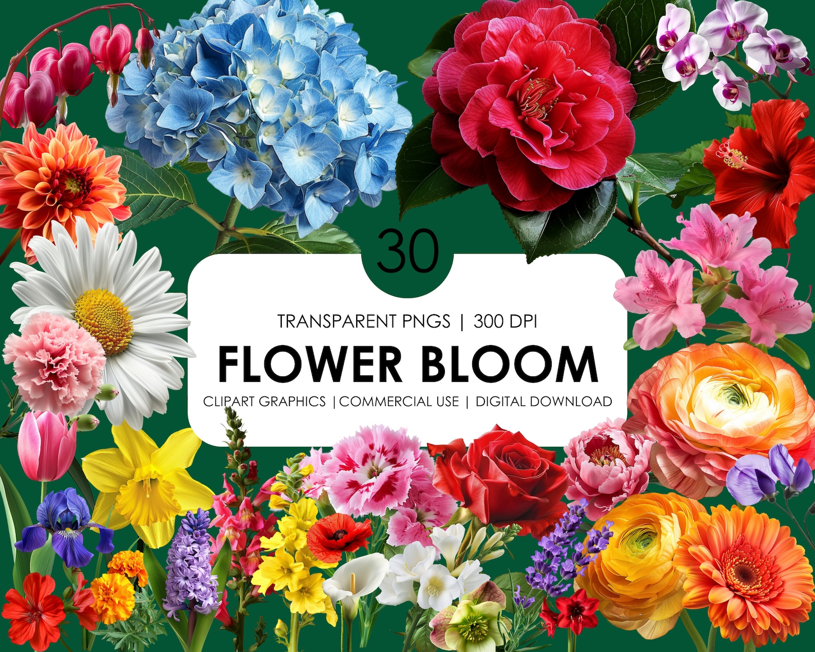 30 Flower Bloom Clipart Pack: Realistic PNG Floral Art (digital ...