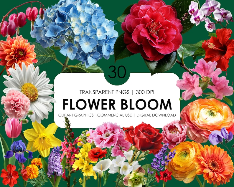30 Flower Bloom Clipart Pack: Realistic PNG Floral Art (digital ...