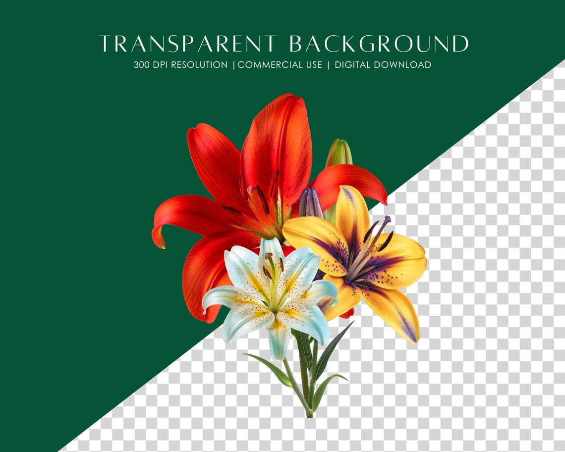 30 Lily Clipart Lily Floral Clipart Realistic Clipart Floral Clipart ...