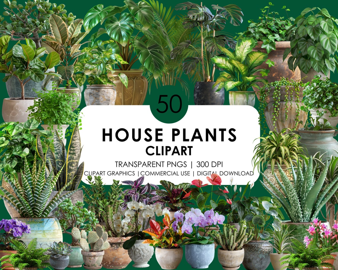 50 House Plants Clipart: Tropical PNG Graphics, Realistic Clipart ...
