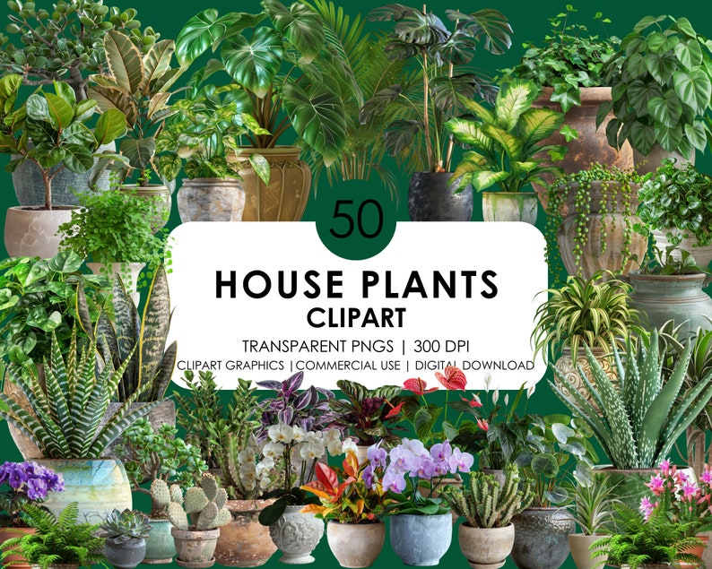 50 House Plants Clipart| Indoor Plants Png| Potted Plants Png ...