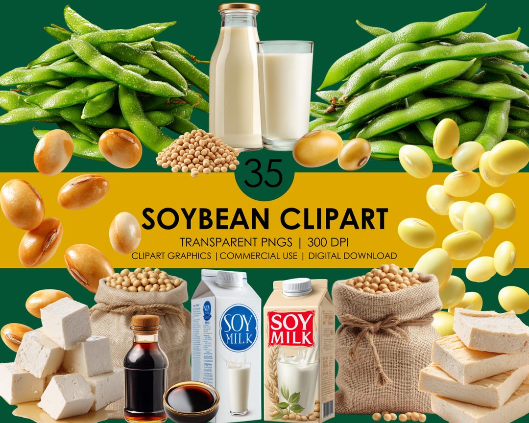 Soybean Clipart PNG Set: Realistic Soy Graphics (digital Download) - Etsy