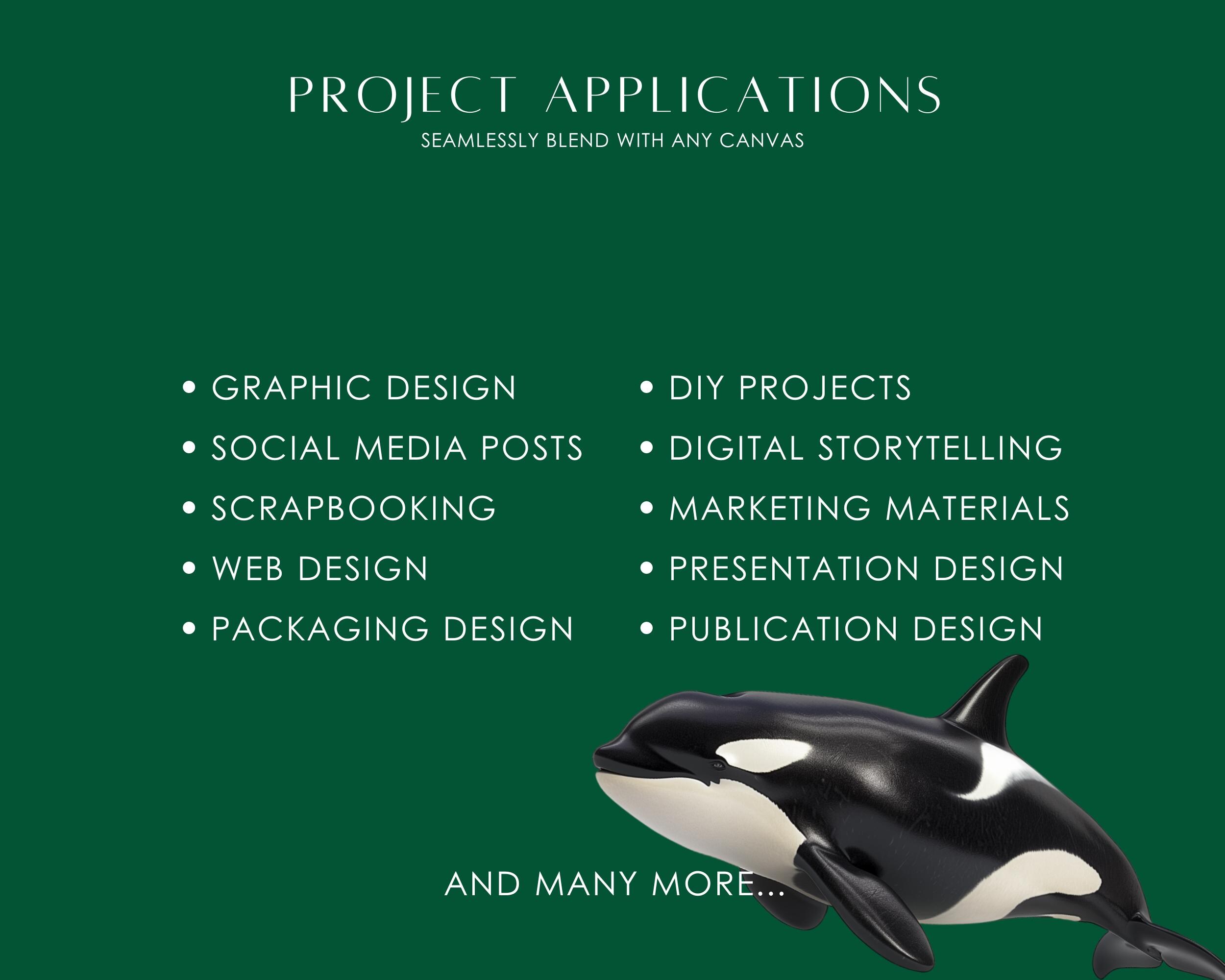 35 Realistic Marine Life Cliparts Sea Creatures Clipart PNG Bundle Orca ...