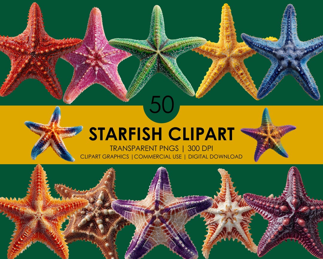 50 Colorful Starfish Clipart: Realistic Sea Creature Pngs (digital ...