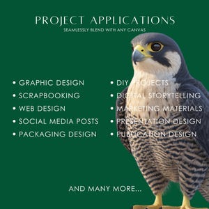 40 Realistic Birds Clipart: Colorful PNG Graphics (commercial Use) - Etsy