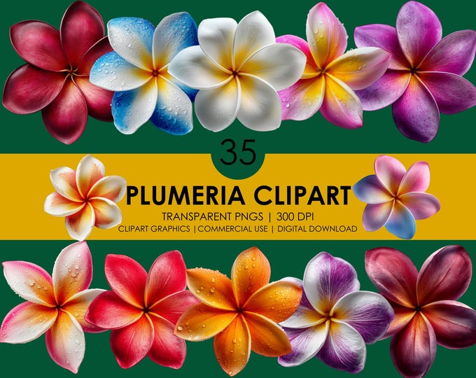 Tropical Plumeria Frangipani Clipart Pack, Hawaiian Flower Graphics ...