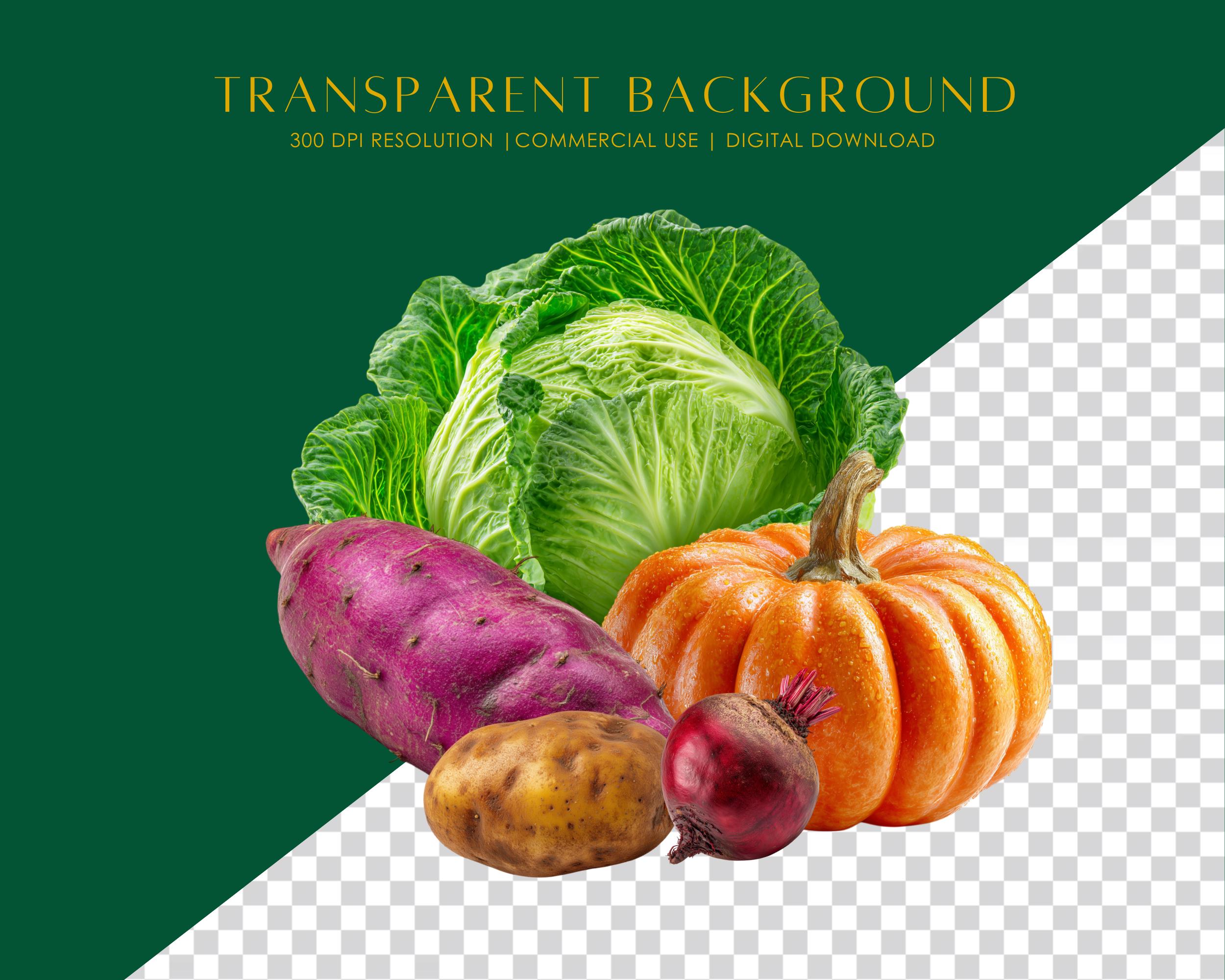 Vegetable Clipart Set: Realistic Garden Food PNG Graphics (digital ...