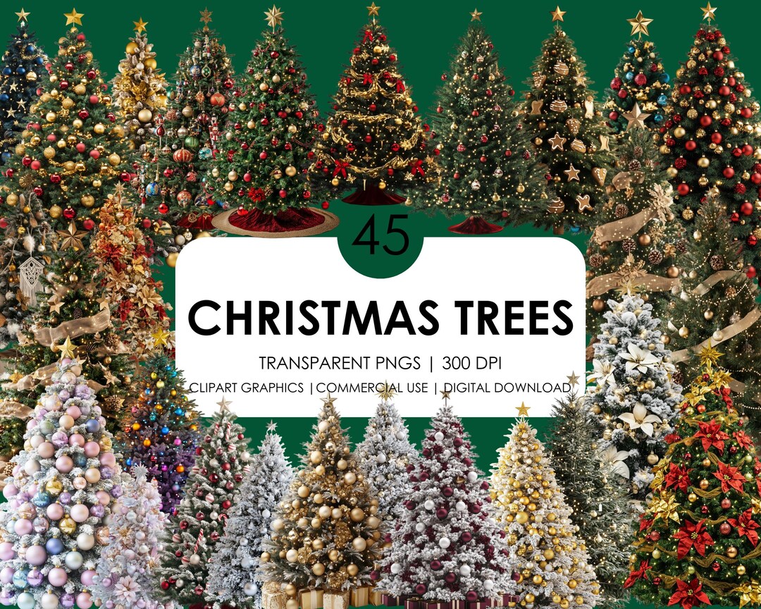 45 Realistic Christmas Tree Clipart| High Quality PNG Files| Christmas ...