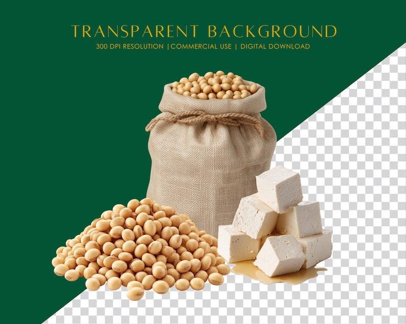 Soybean Clipart PNG Set: Realistic Soy Graphics (digital Download ...
