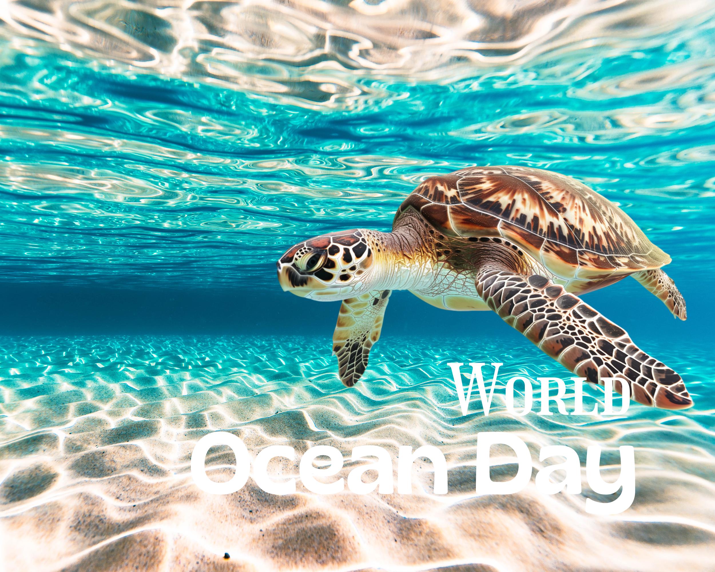 35 Realistic Marine Life Cliparts| Sea Creatures Clipart PNG Bundle ...