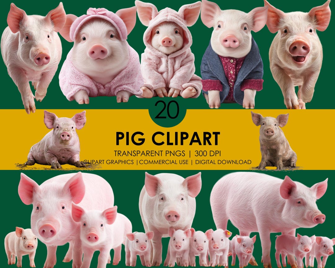 20 Pig Clipart, Pig PNG, Cute and Realistic Pig Clipart, Farm Animal ...