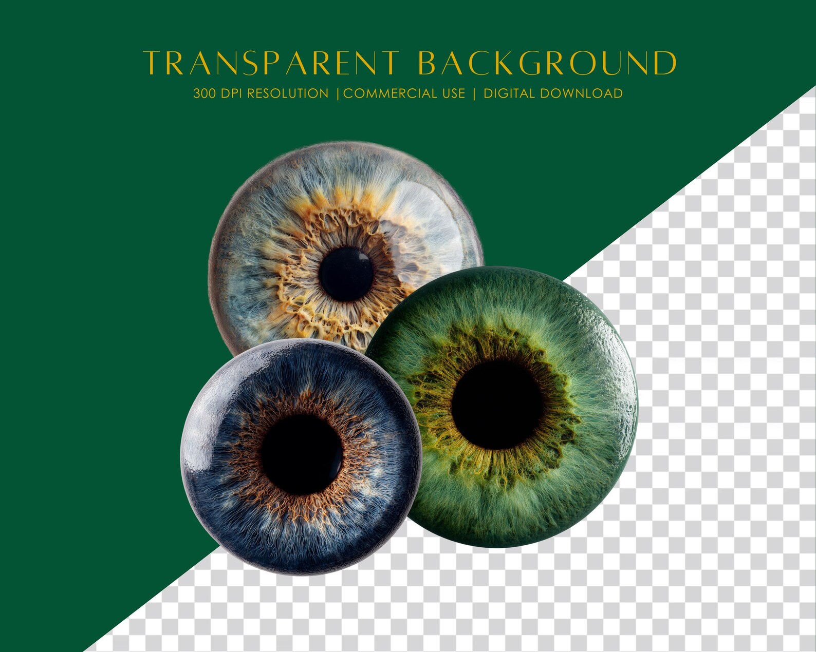 Realistic Eyeball Clipart PNG Set: Halloween Graphics (digital Download ...