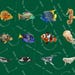 35 Realistic Marine Life Cliparts| Sea Creatures Clipart PNG Bundle ...
