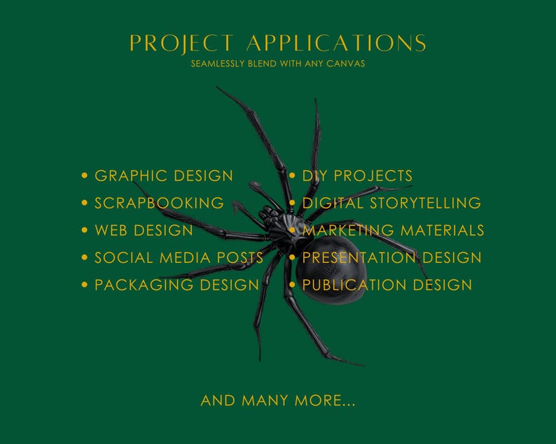 15 Spider Clipart, Spider PNG, Realistic Spider Clipart, Halloween ...