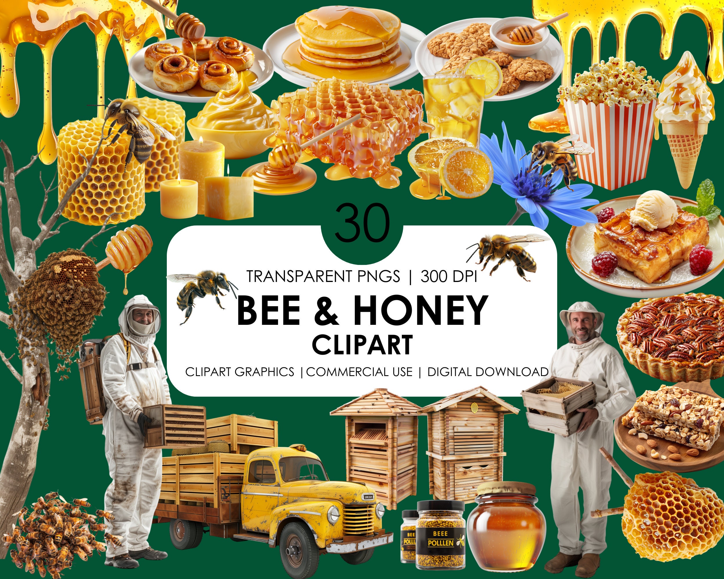 30 Bee & Honey Clipart Honey Bee Realistic Clipart PNG Bundle Honey Art ...