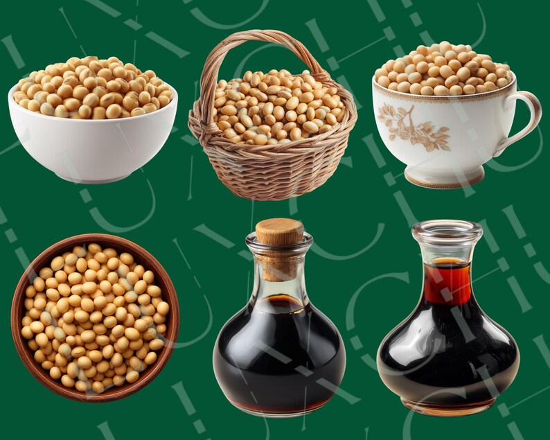Soybean Clipart PNG Set: Realistic Soy Graphics (digital Download) - Etsy