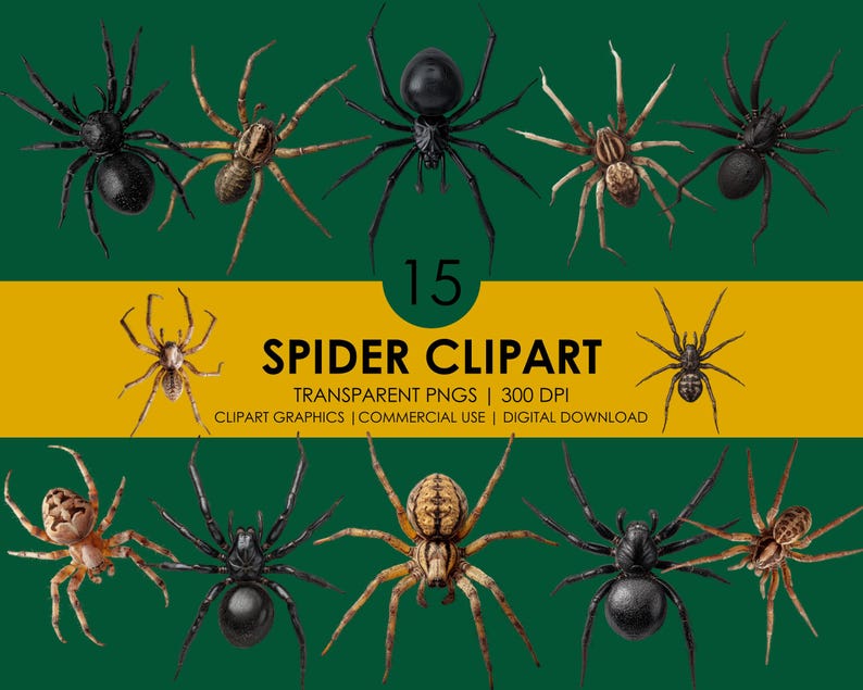 15 Spider Clipart, Spider PNG, Realistic Spider Clipart, Halloween ...
