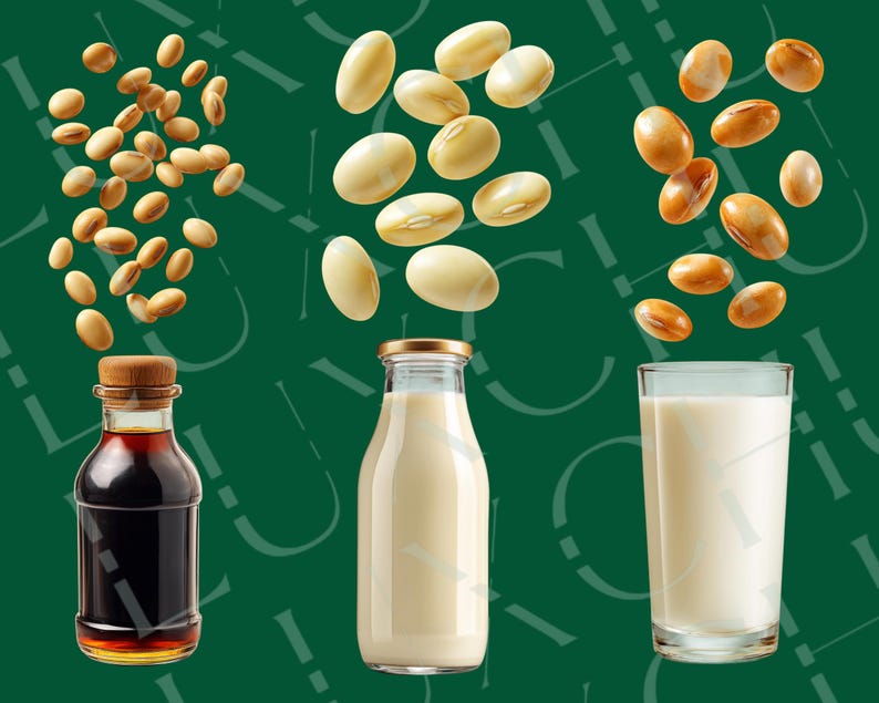 Soybean Clipart PNG Set: Realistic Soy Graphics (digital Download ...