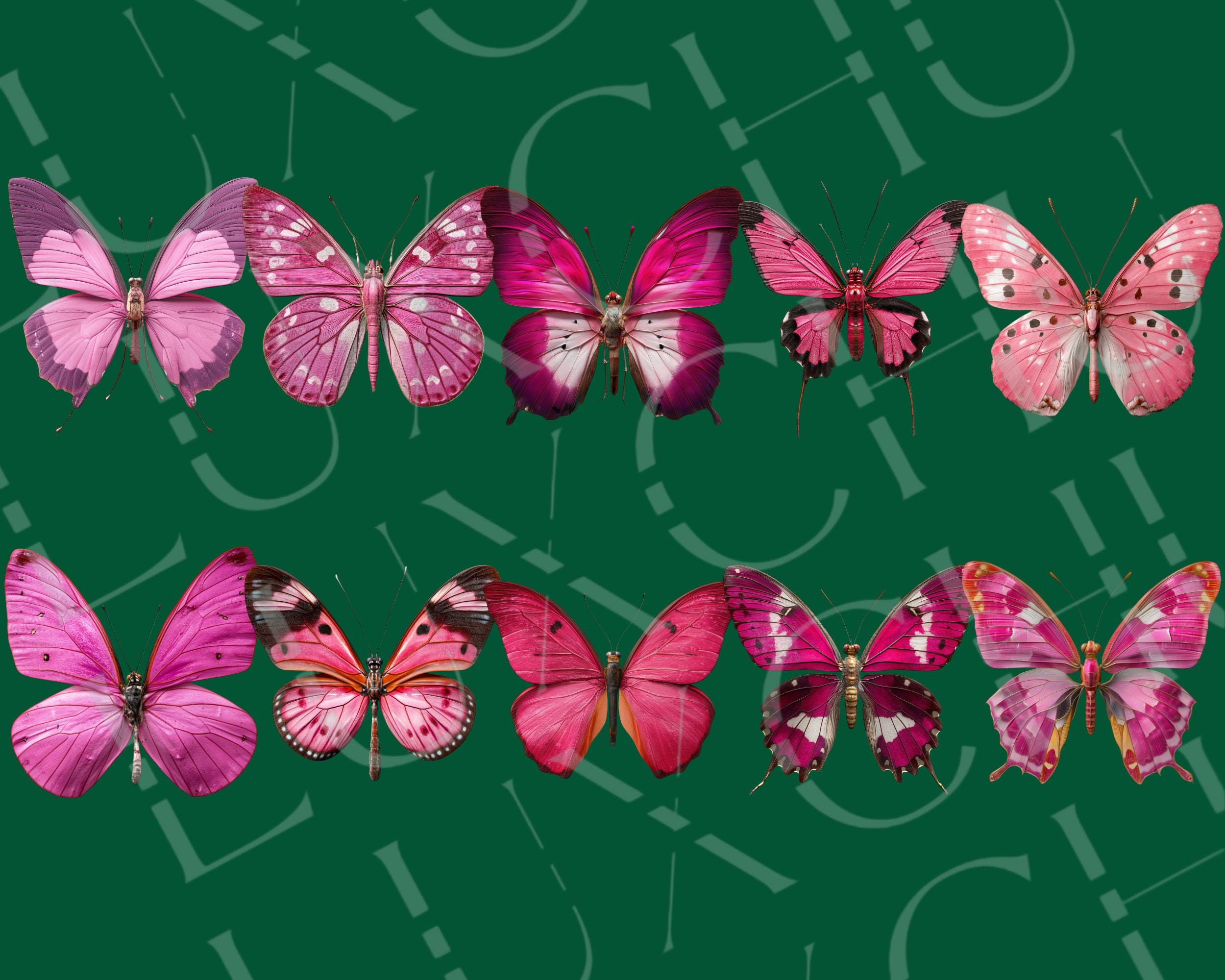 20 Pink Butterfly Clipart| Realistic Clipart| Butterfly Graphics| Butterfly PNG| Insect Clipart ...