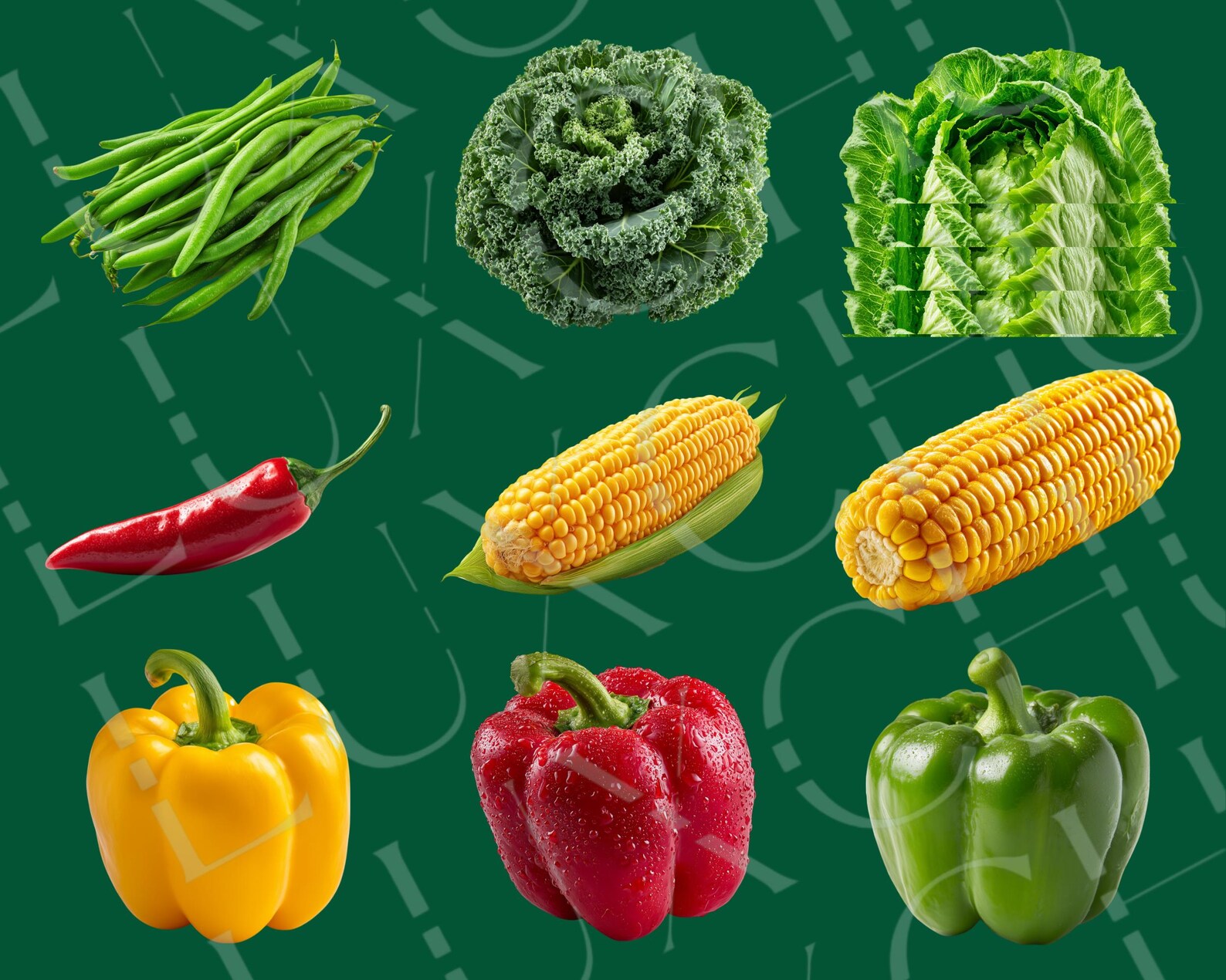 Vegetable Clipart Set: Realistic Garden Food PNG Graphics (digital ...