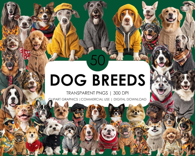 50 Dog Breeds Clipart Bundle: Realistic Puppy PNG Graphics (instant ...