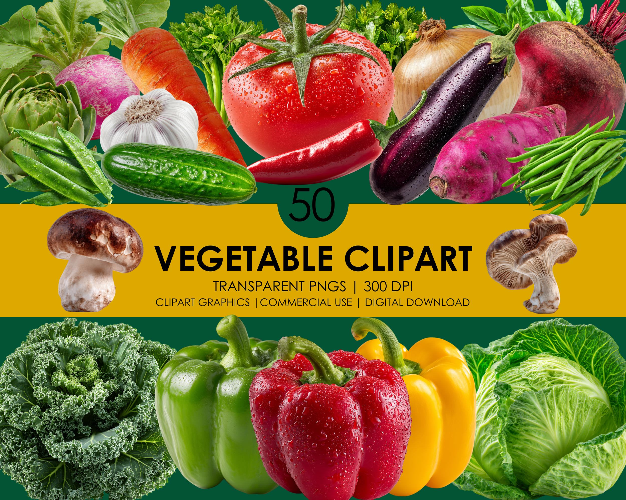Vegetable Clipart Set: Realistic Garden Food PNG Graphics (digital ...