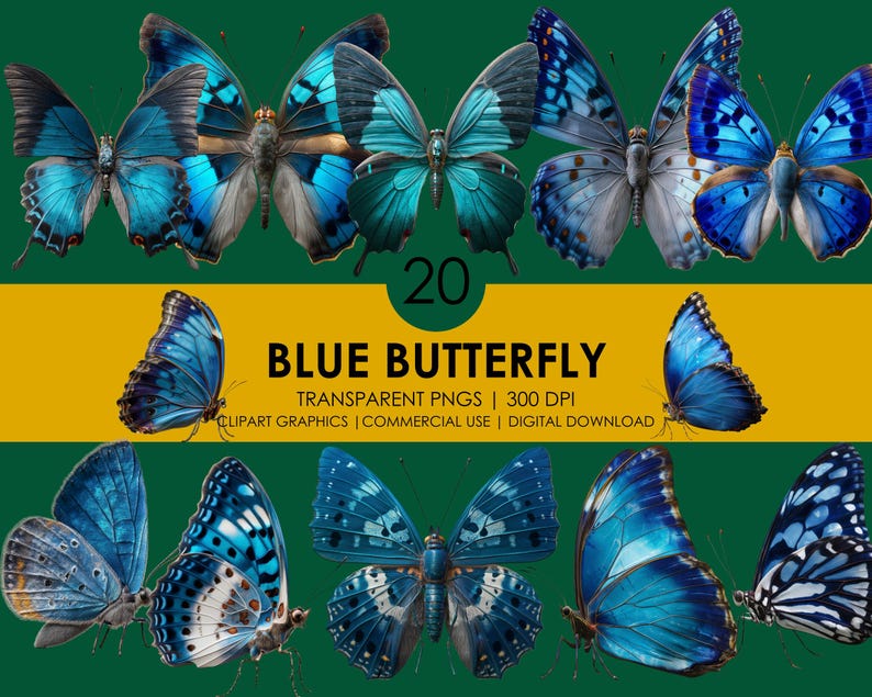 20 Blue Butterfly Clipart| Realistic Clipart| Butterfly Graphics ...