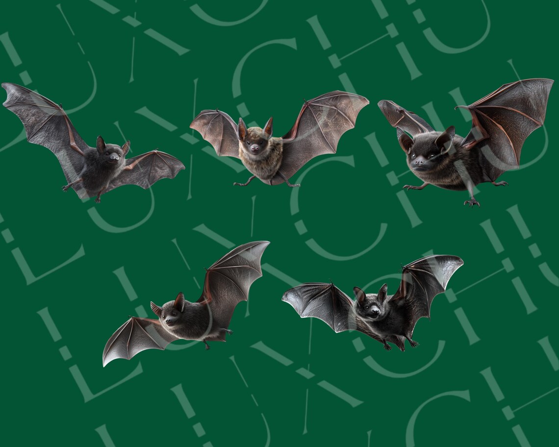 Halloween Bat Clipart: Spooky Flying Bats PNG (digital Download, 300 ...