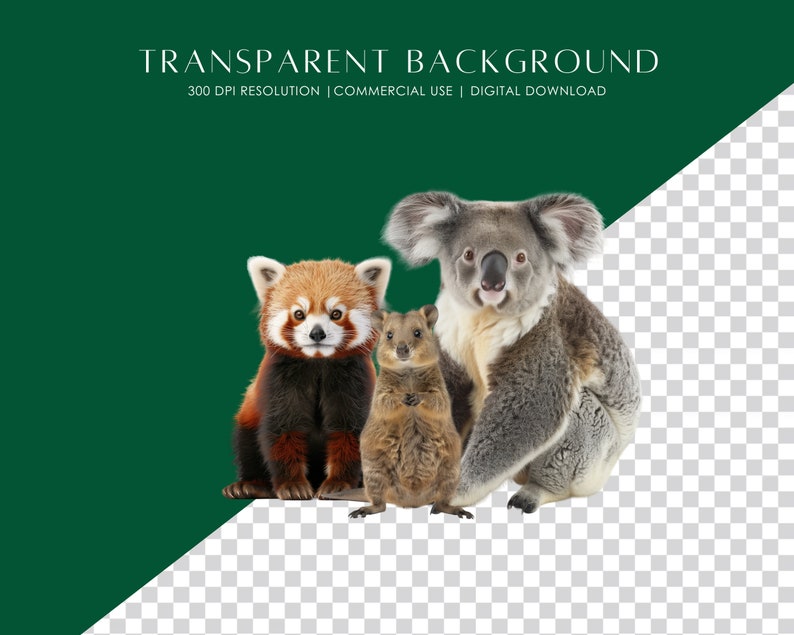 70 Wildlife Animal Clipart: Safari, African Animals, Realistic Clipart ...