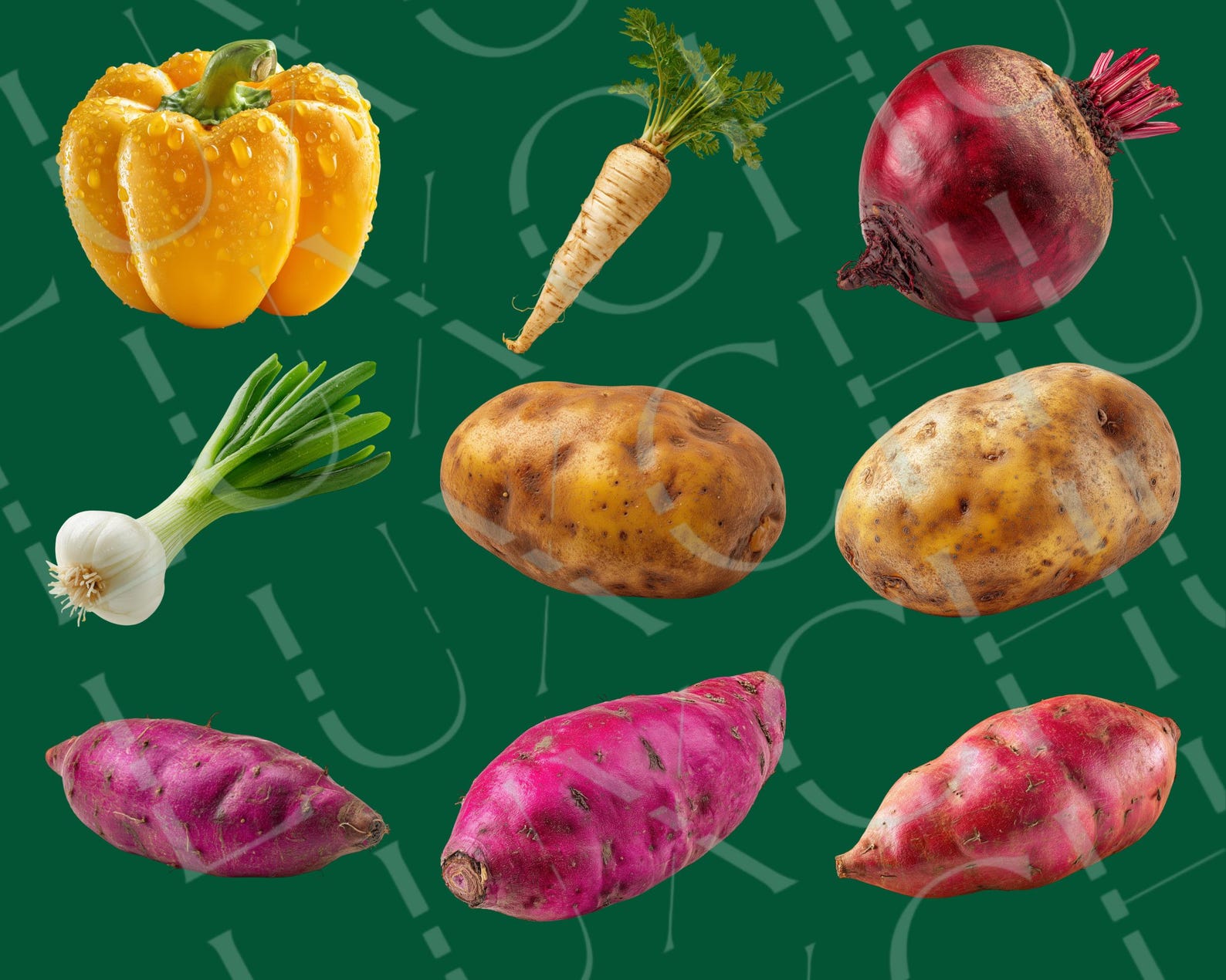 Vegetable Clipart Set: Realistic Garden Food PNG Graphics (digital ...