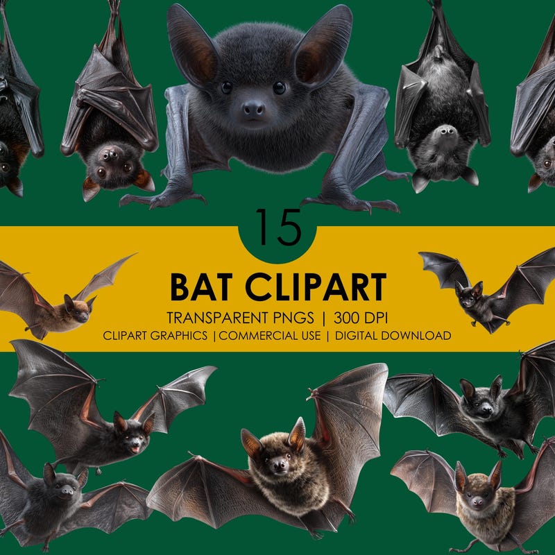 Realistic Bat Clipart - Etsy