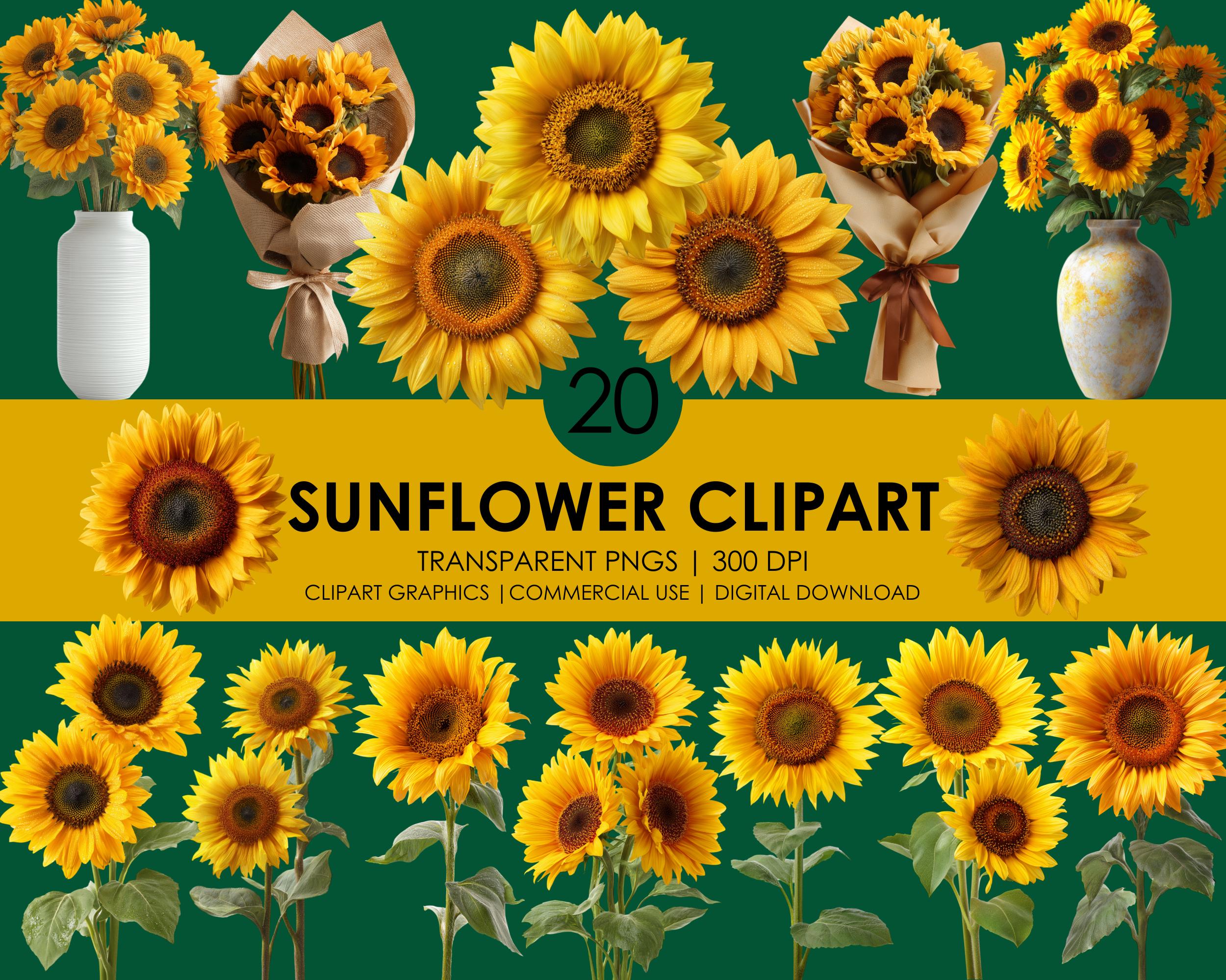 Sunflower Clipart Set: Realistic Floral PNG Graphics (digital Download ...