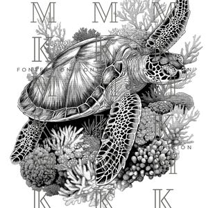 Sea Turtle Laser Burn File, Sea Turtle Hawksbill Ocean Underwater ...