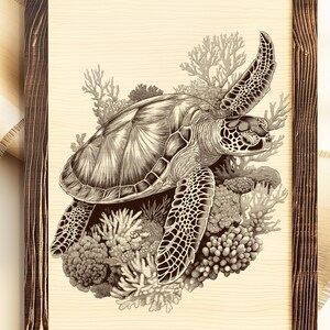 Sea Turtle Laser Burn File, Sea Turtle Hawksbill Ocean Underwater ...