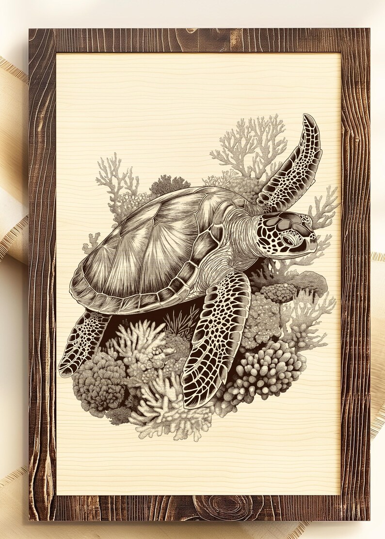 Sea Turtle Laser Burn File, Sea Turtle Hawksbill Ocean Underwater ...