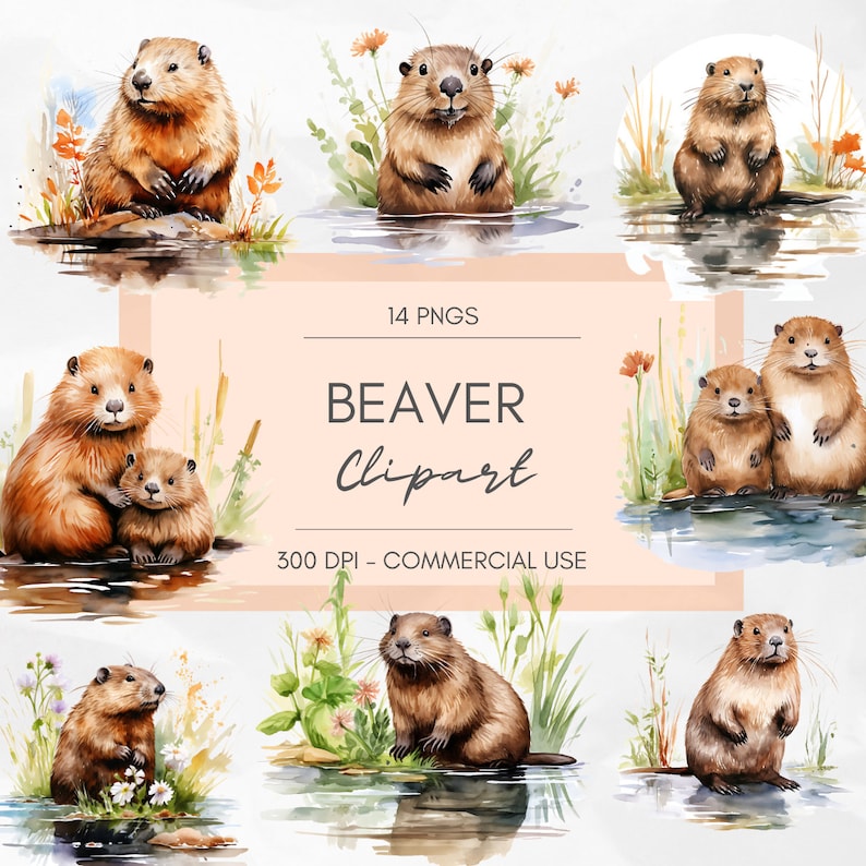 Clipart, Beavers, 14 PNG Files, Transparent Background, 300 Dpi ...