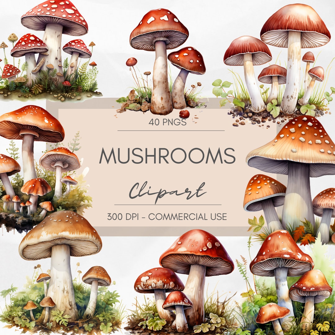 Clipart, Mushrooms, 40 PNG Files, Transparent Background, 300 Dpi ...