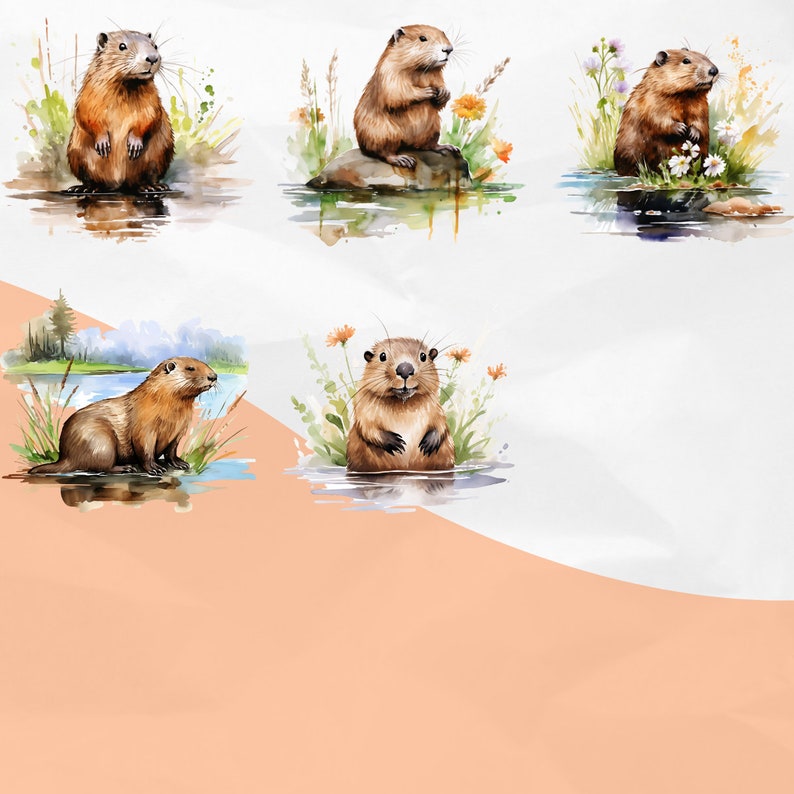 Clipart, Beavers, 14 PNG Files, Transparent Background, 300 Dpi ...
