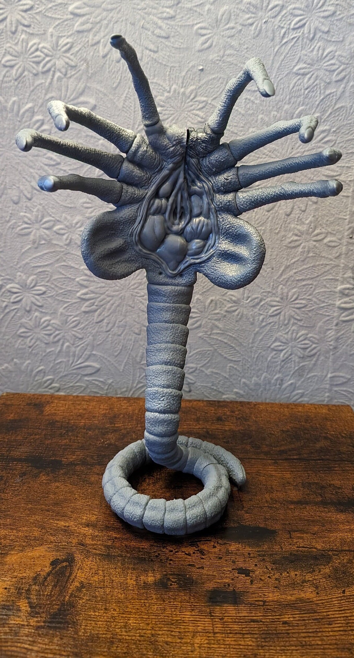 Alien Facehugger Large Detailed 3D Print Xenomorph Facehugger - Etsy Canada