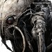 Whimsical Insect Clipart, Cosmic Alien Illustrations, DIY Crafts ...