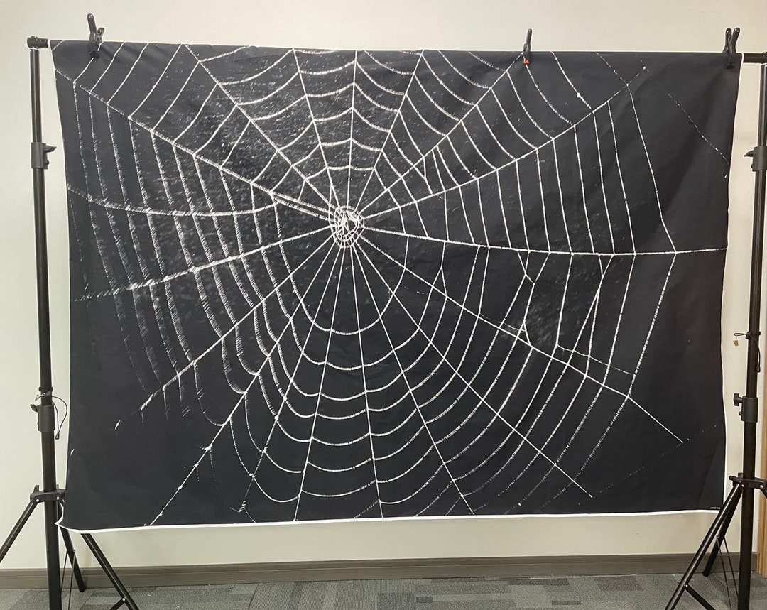 Aperturee All Black Spider Net Backdrop for Party Decor Cool - Etsy